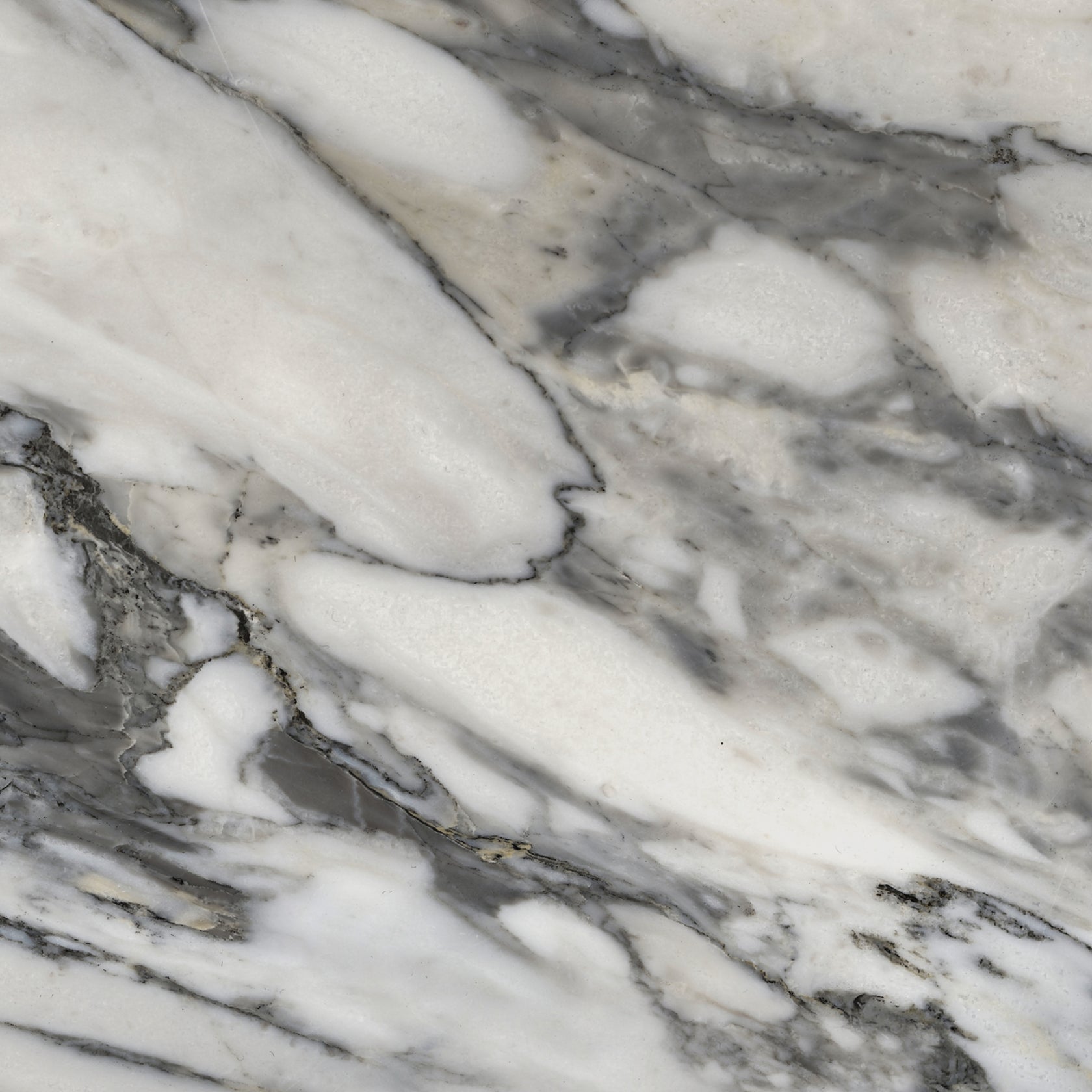 Arabescato Marble Sample - LUSSO