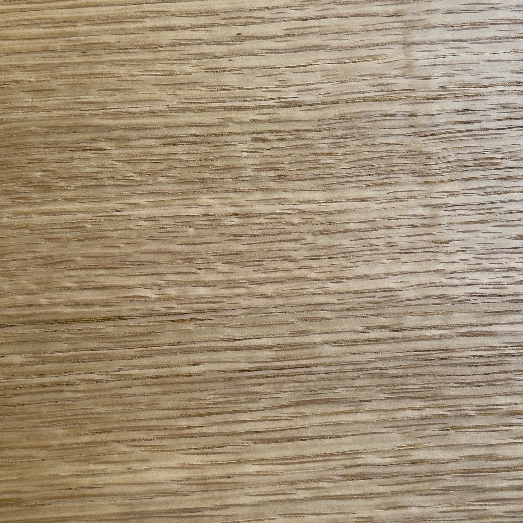 Natural Oak Wood Sample - LUSSO
