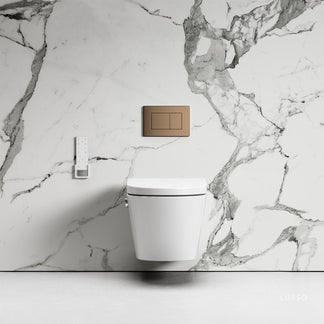 Intellismart Wall Hung Rimless Bidet Toilet with Concealed Cistern ...