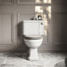 Portland Close Coupled Toilet Beige/Brushed Gold - LUSSO