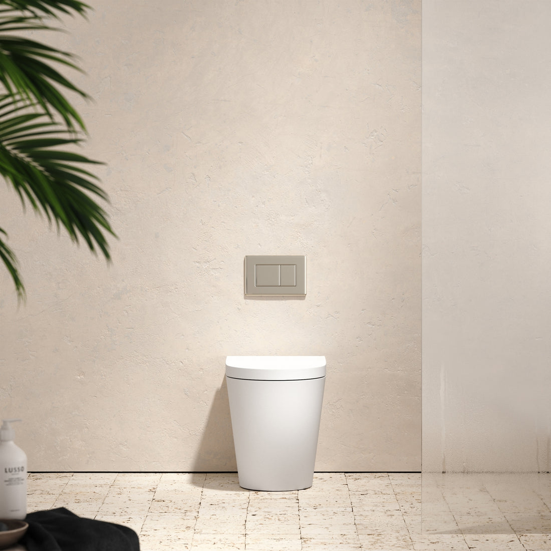 Back To Wall Rimless Toilet, Chrome Flush Plate, Hygienic Design ...